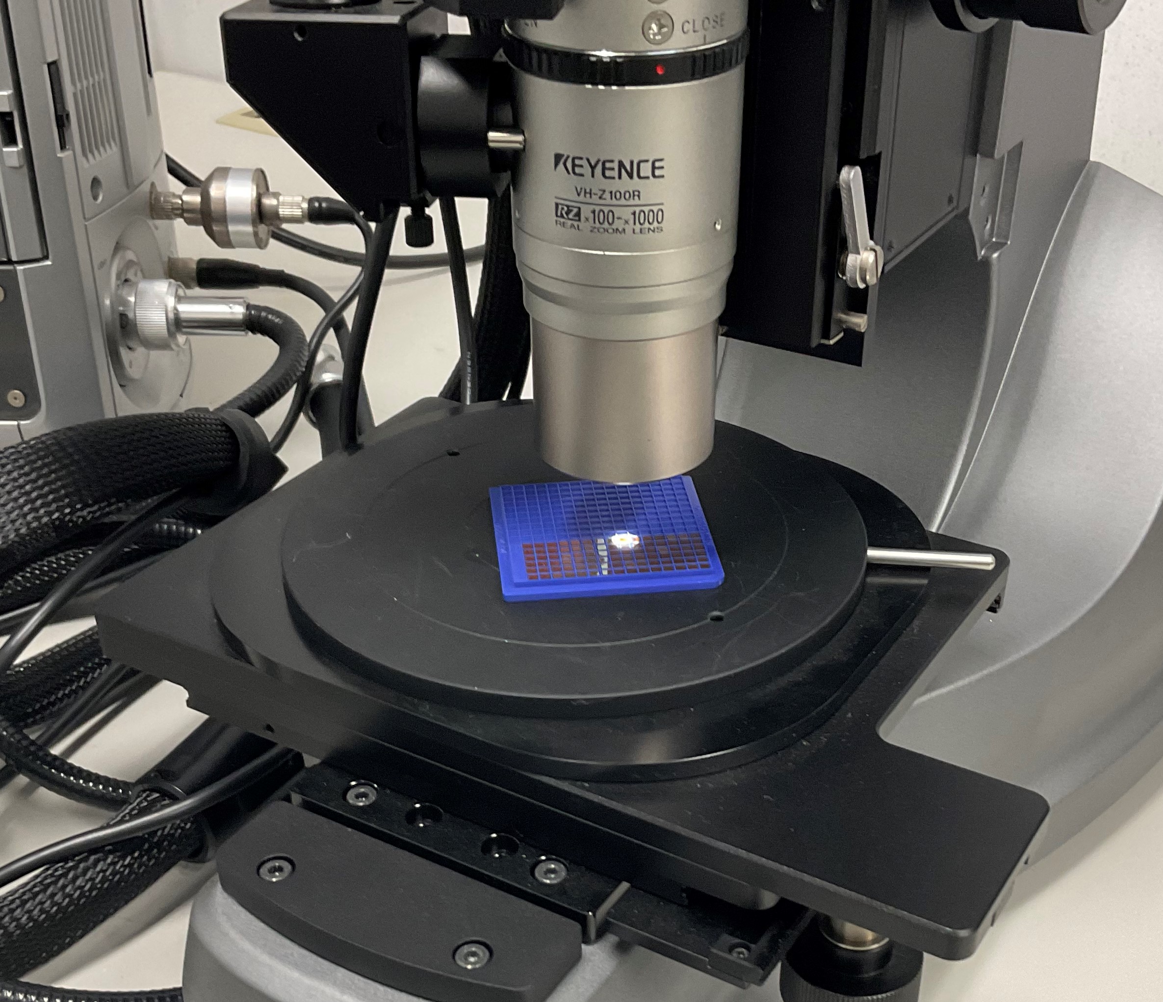 HIROSE LAB. x SDGs – Industrial Biotechnology Initiative Division for OTRI